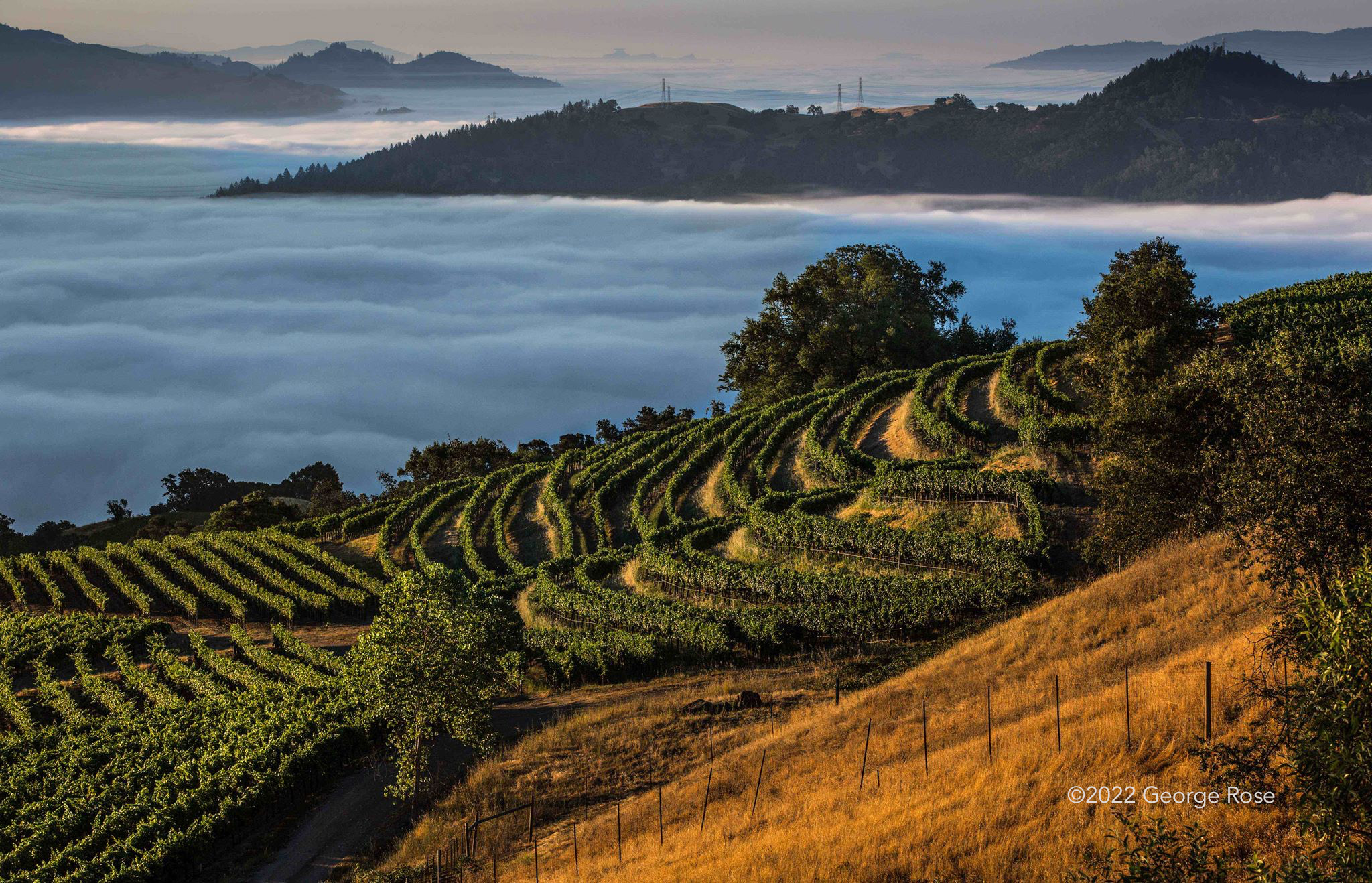 Vinography Images: A Monument to Cabernet : Vinography
