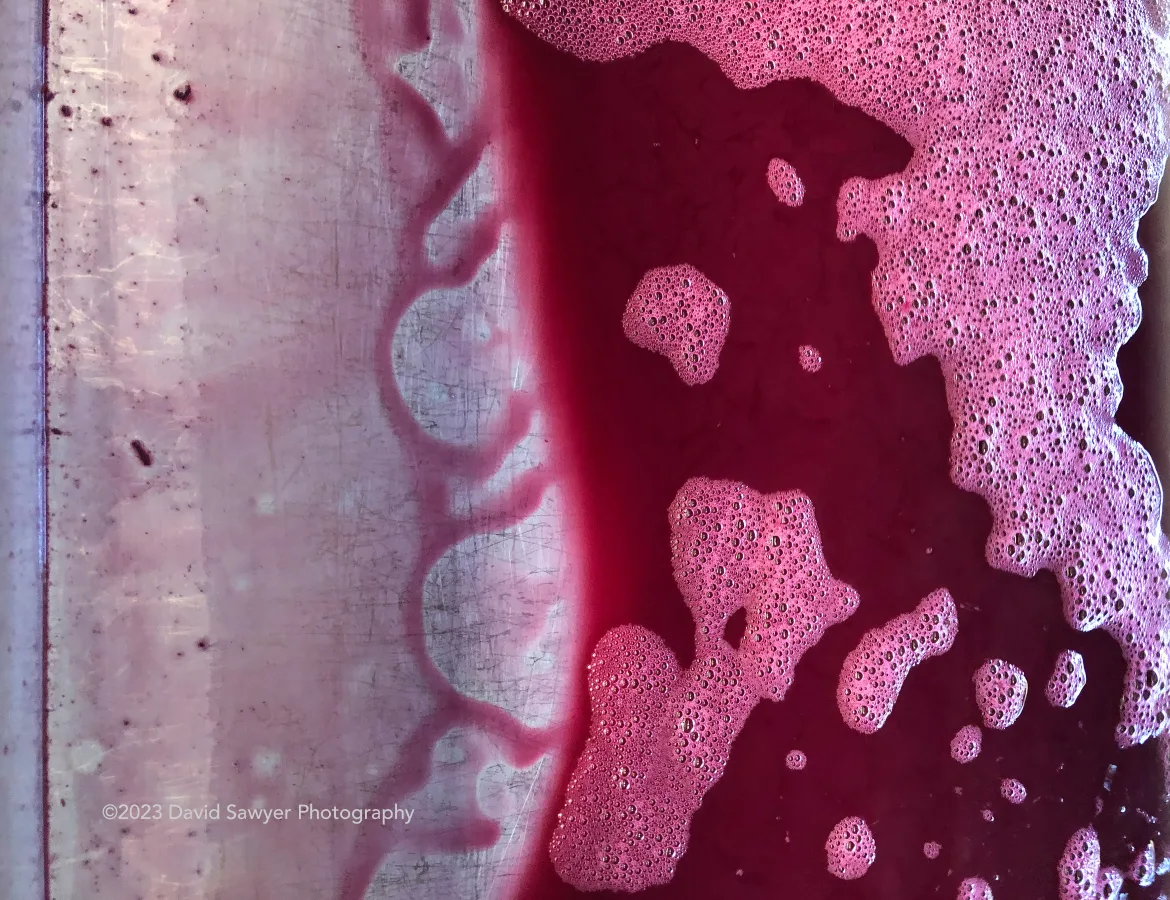 Vinography Images: The Color of Delicious : Vinography