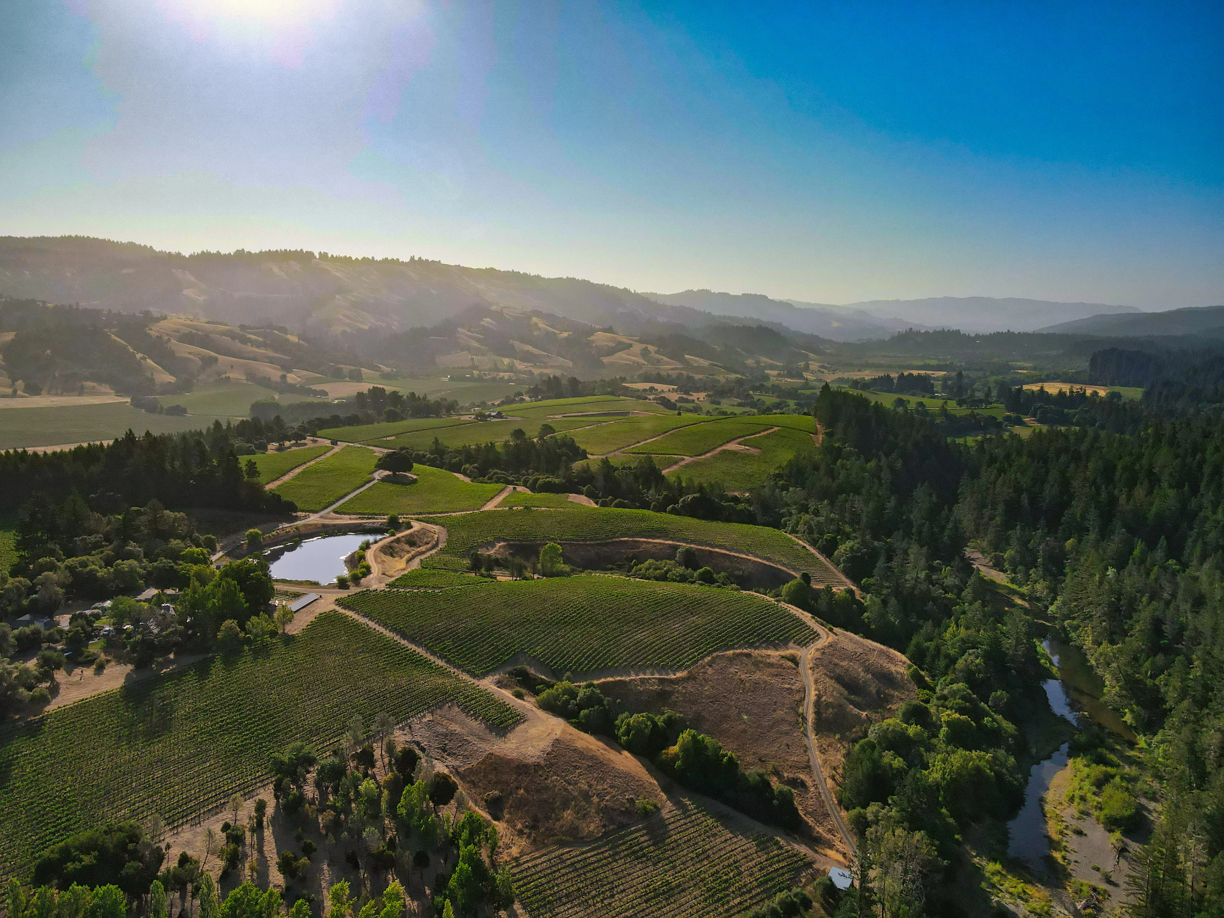 Vinography Images: The Hidden Valley : Vinography