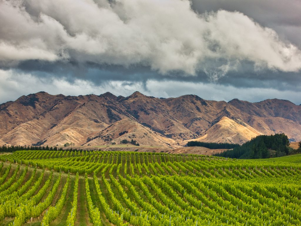 Vinography Images: The Perfect Storm : Vinography