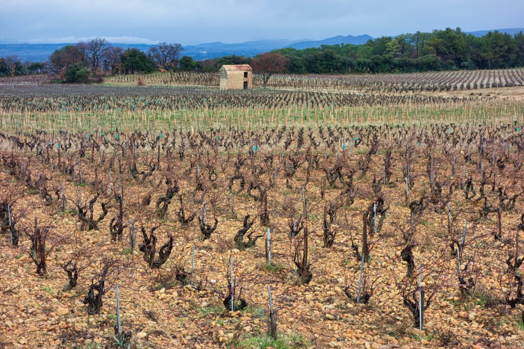 Vinography Images: Cobbled Together : Vinography