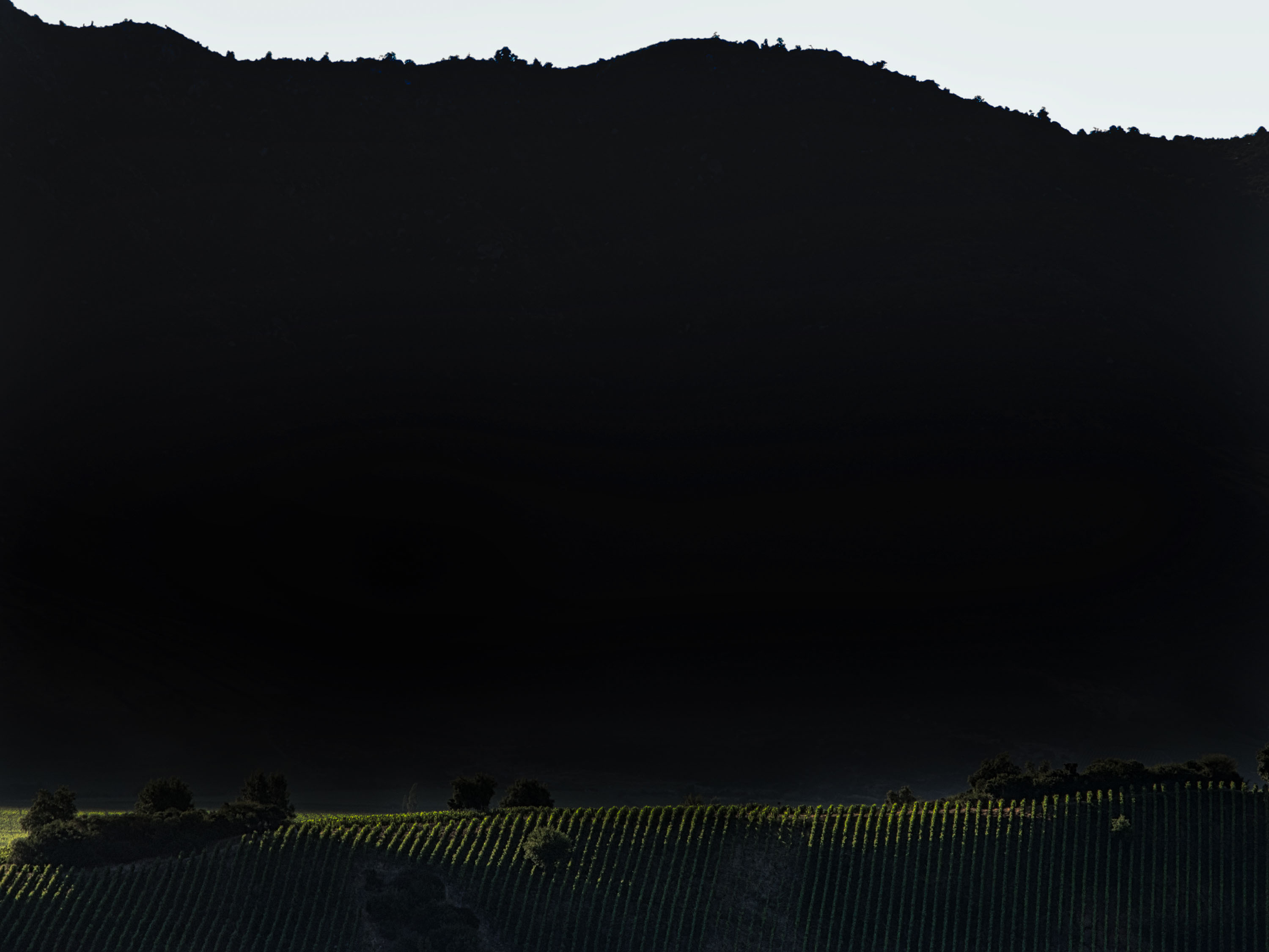 Vinography Images: Ridgetop Light : Vinography