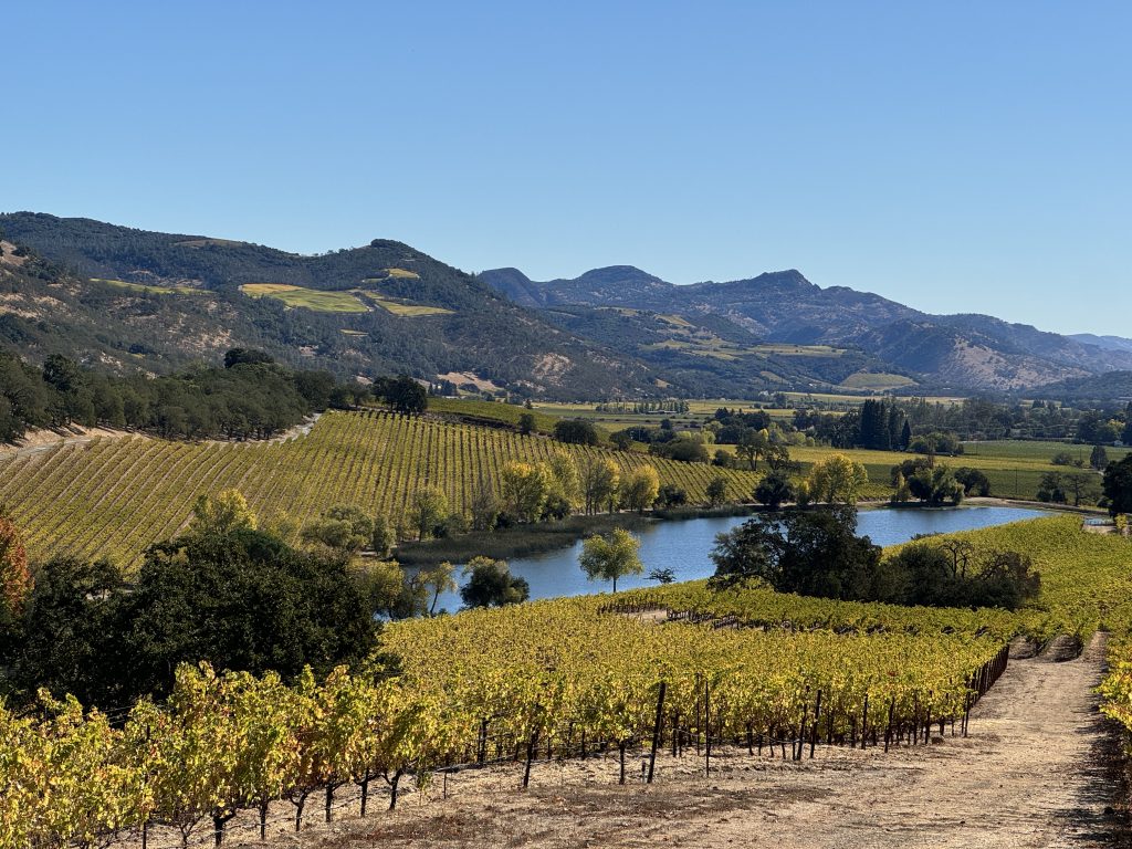 The 2023 Vintage Through the Lens of Premier Napa Valley : Vinography