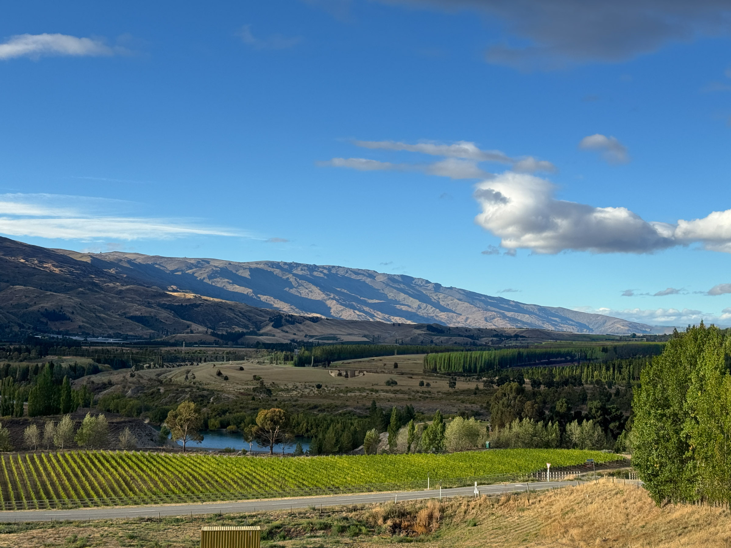 New Zealand's Forgotten Aromatic White Wines : Vinography